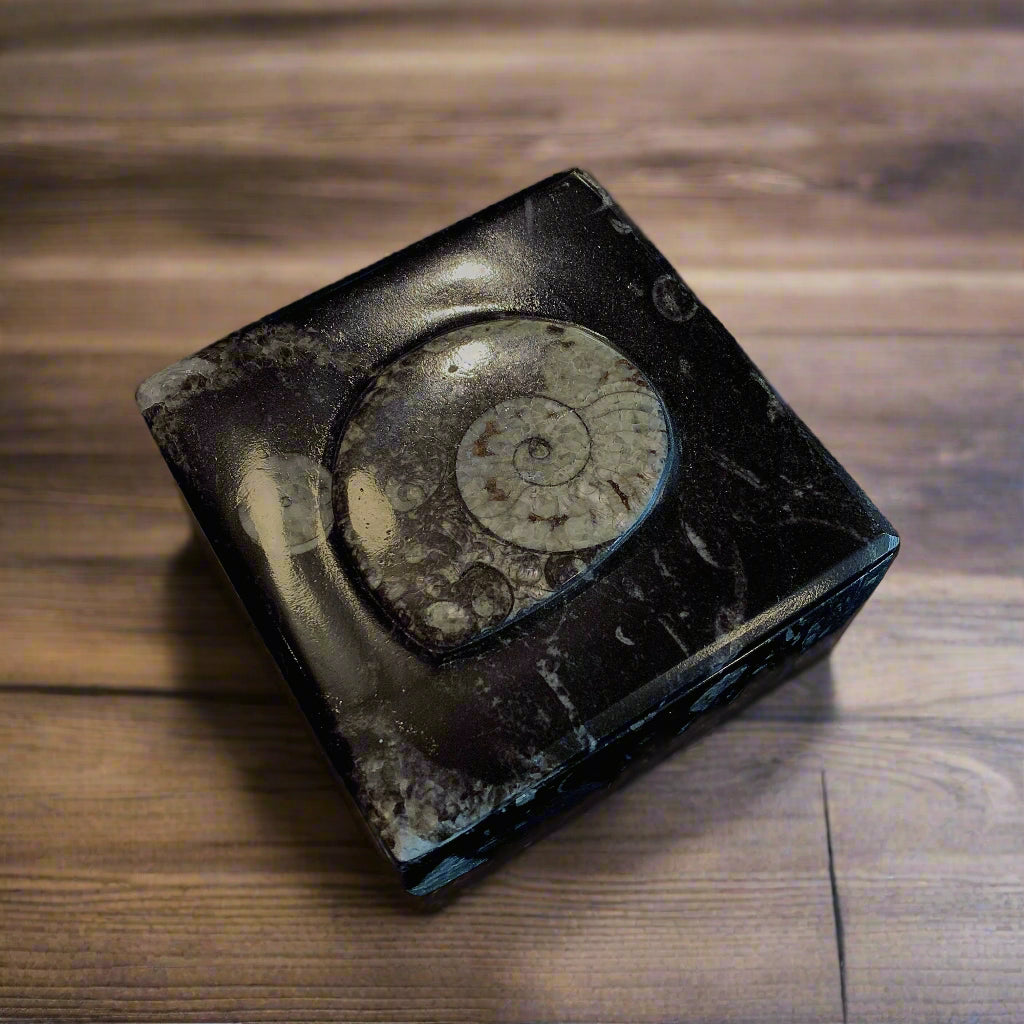 Orthoceras Square Box – Plumb Gold & Plumb Silver